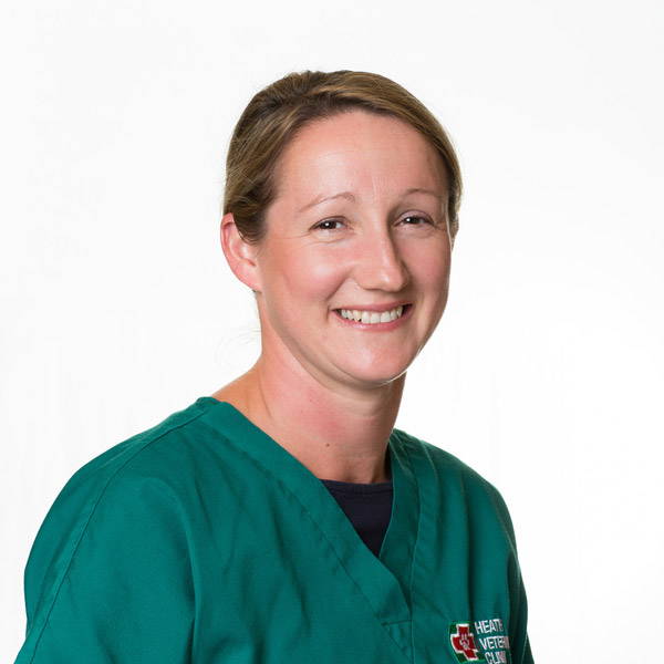 Meet the amazing veterinary team at Heath Vets | Friendly & Caring