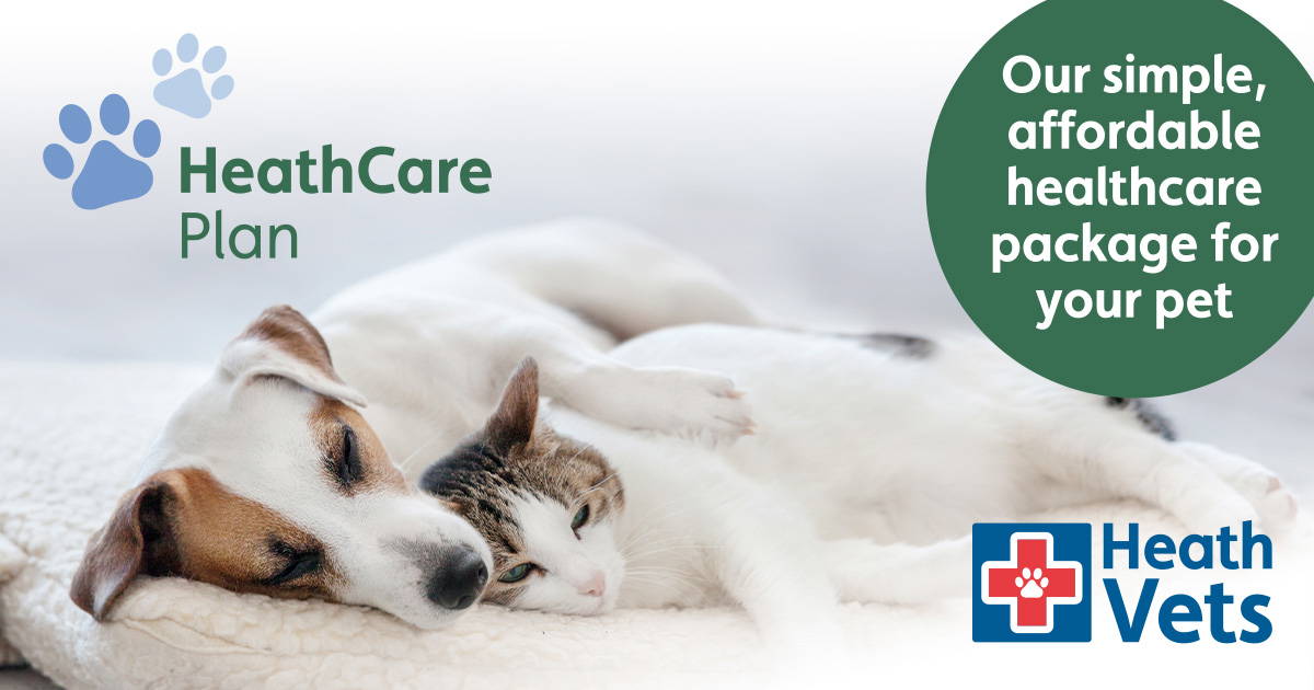 Heath Care Plan Terms and Conditions | Heath Veterinary Clinic