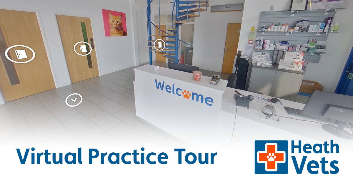 Heath Vets Virtual Practice Tour | See Inside the Practice!