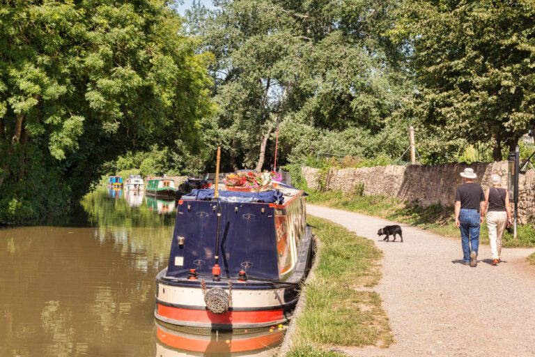 Responsible Pet Healthcare: Parasiticides, Vaccines & Sustainability